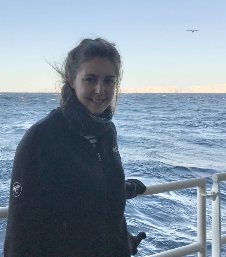 Interpreting Greenland’s Glaciated Seafloor: New Insights into Ice ...